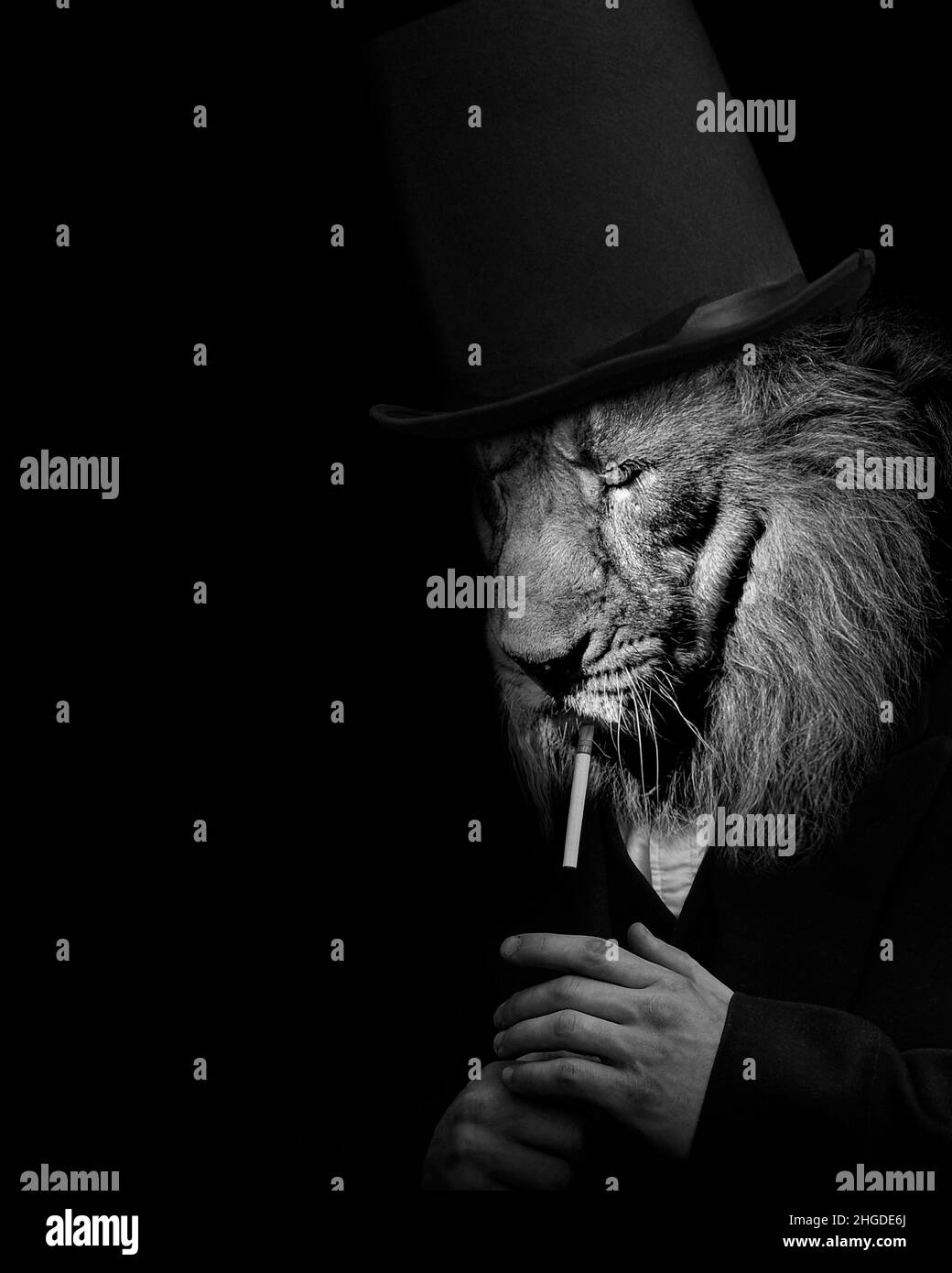 Man in the form of a Lion , The lion person , animal face isolated ...