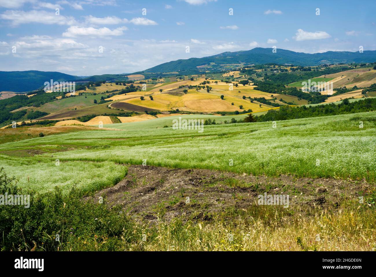 Landscape in Campobasso province, Molise, Italy, along the road to ...