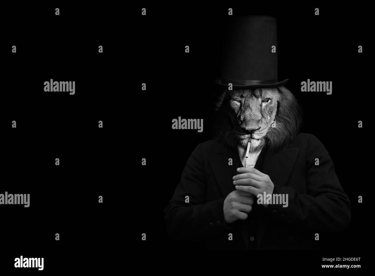 Man in the form of a Lion , The lion person , animal face isolated ...