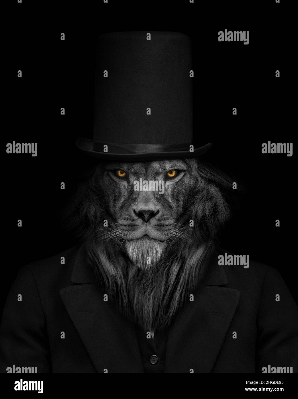 Man in the form of a Lion , The lion person , animal face isolated ...