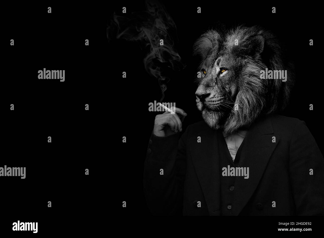 Man in the form of a Lion , The lion person , animal face isolated ...