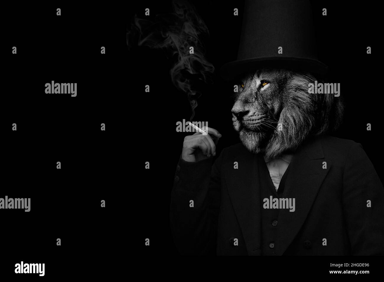 Man in the form of a Lion , The lion person , animal face isolated ...