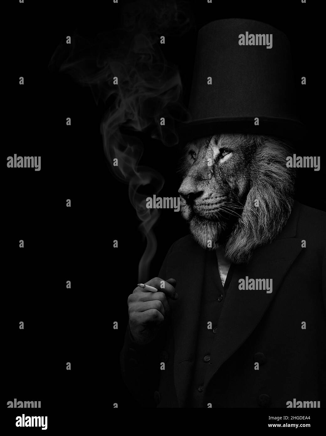 Man in the form of a Lion , The lion person , animal face isolated ...