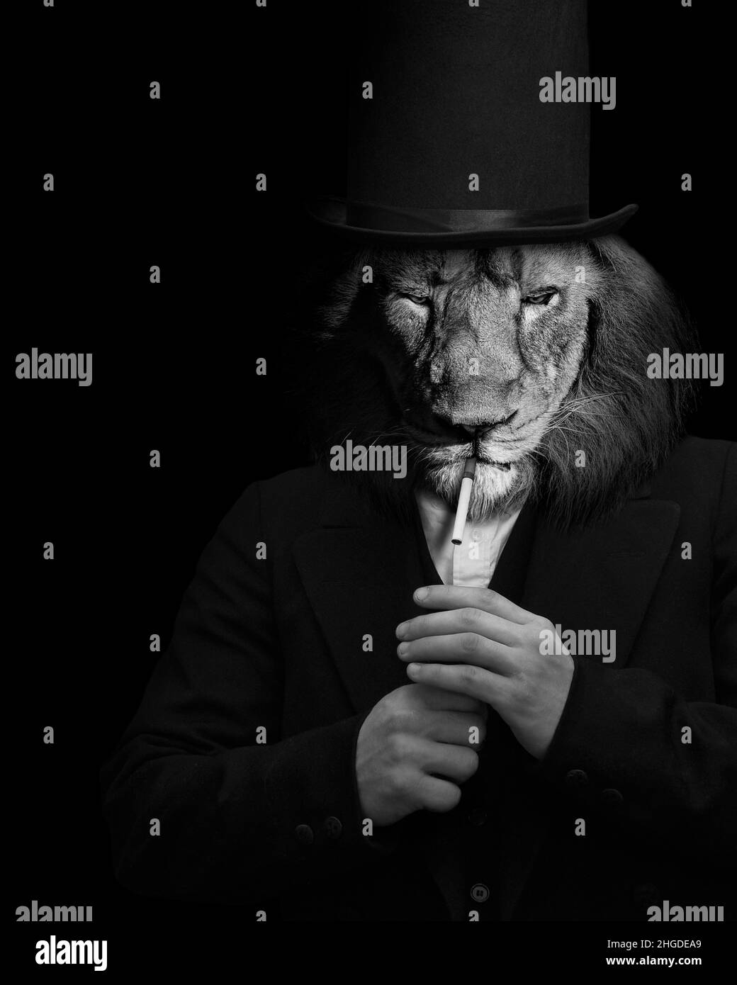 Man in the form of a Lion , The lion person , animal face isolated ...