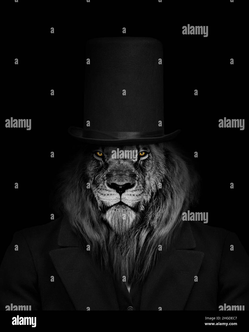 Man in the form of a Lion , The lion person , animal face isolated ...
