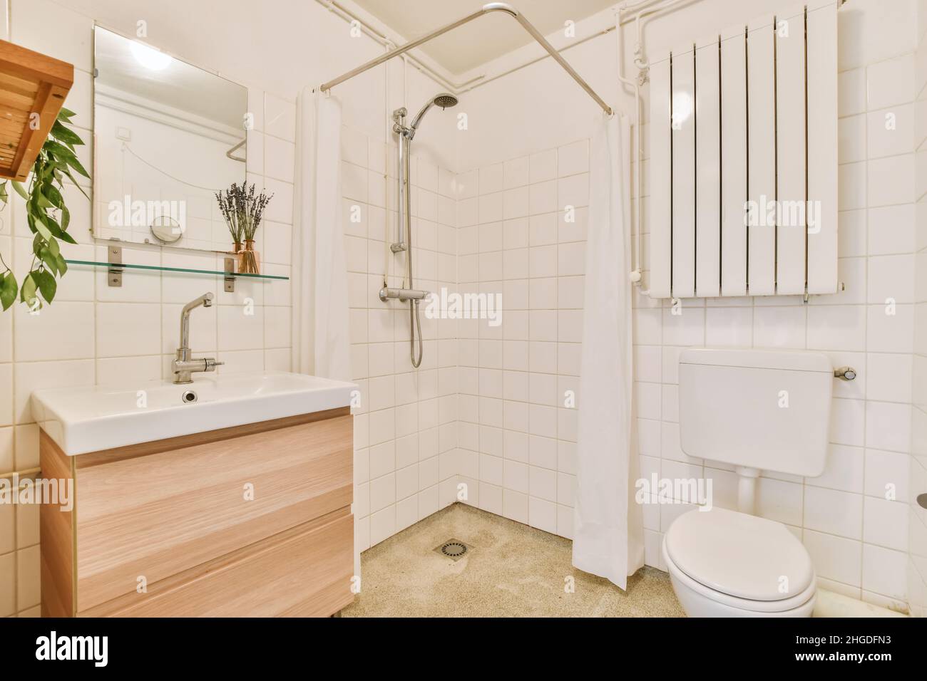 A delightful bathroom in a minimalist style in daylight Stock Photo - Alamy