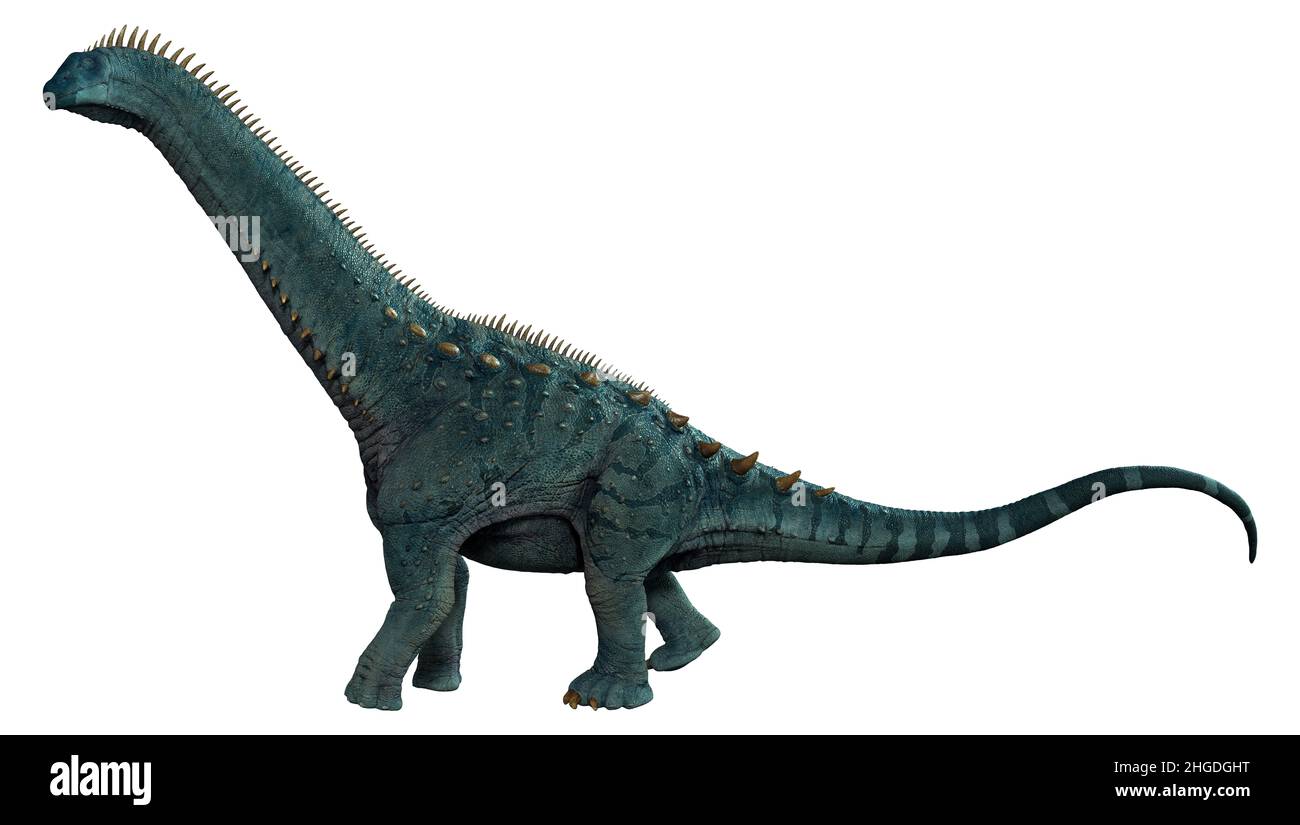 3D rendering of a dinosaur Alamosaurus isolated on white background ...