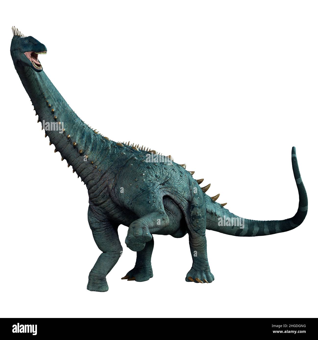 3D rendering of a dinosaur Alamosaurus isolated on white background ...