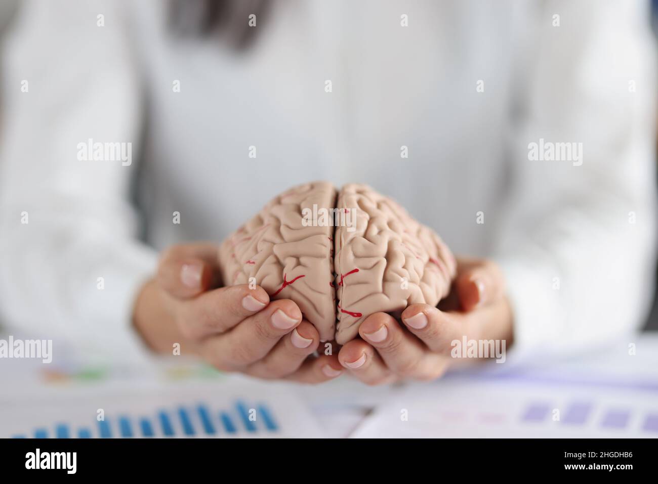 Hands holding human brain hi-res stock photography and images - Alamy