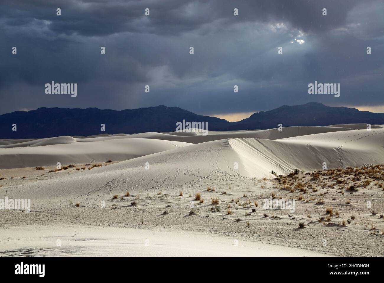 Desert landscape - White Sands National Park, New Mexico Stock Photo ...