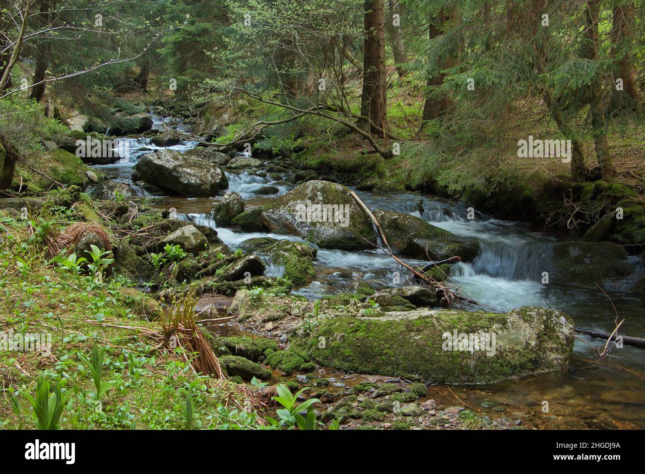 Pec pod snezkou hi-res stock photography and images - Alamy
