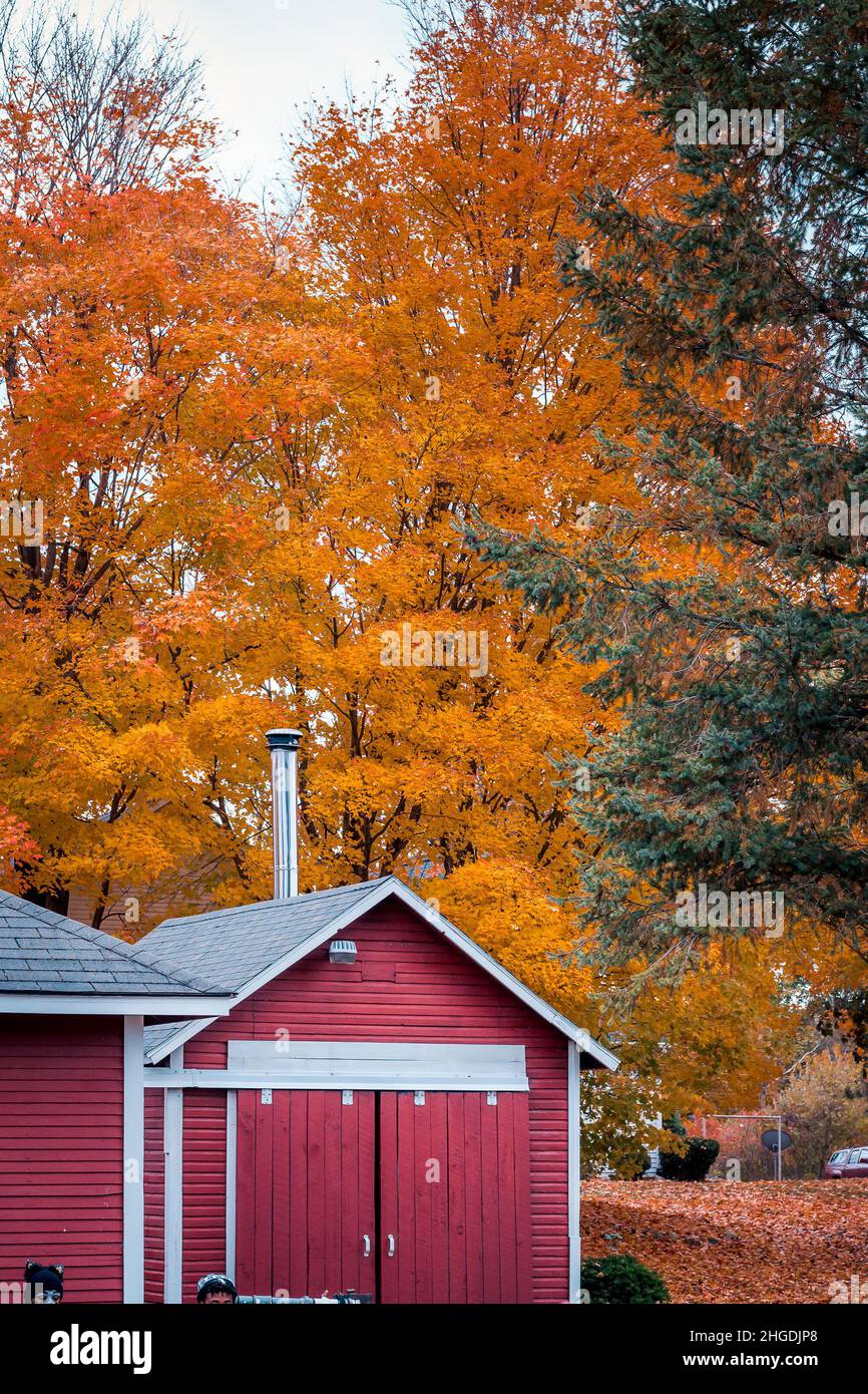 Barn at an orchard in the fall Stock Photo - Alamy