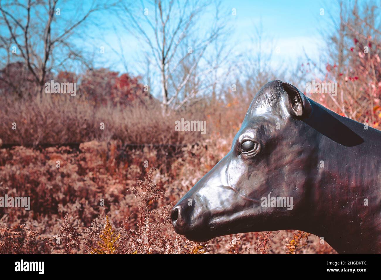 Close up of the head of a cow statue Stock Photo - Alamy