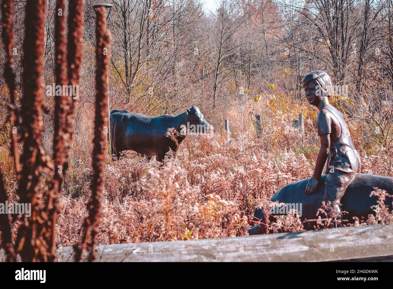 Outdoor cow statues hi-res stock photography and images - Alamy