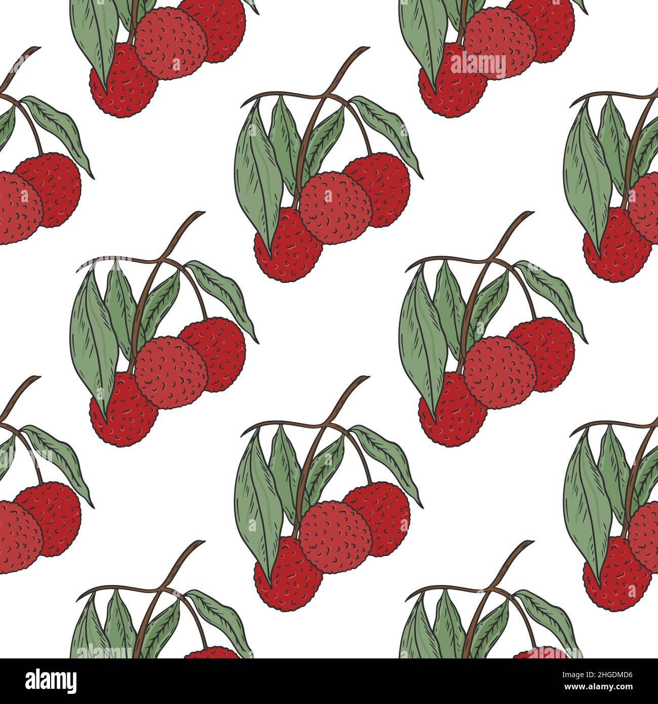 Exotic lychee fruit on Stock Vector Images - Alamy