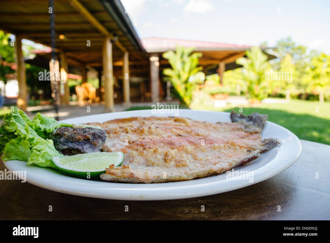 Colombian fish dish hi-res stock photography and images - Alamy