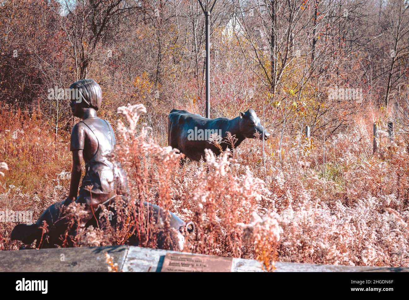 Outdoor cow statues hi-res stock photography and images - Alamy
