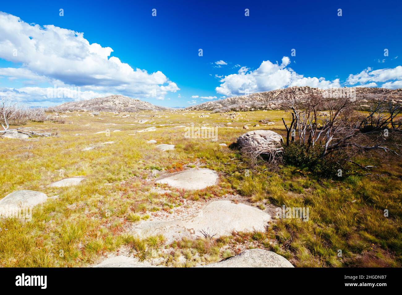 Summer Landscape at Mt Buffalo Australia Stock Photo - Alamy