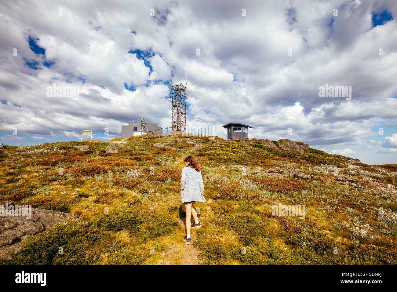 Summer Landscape at Mt Mckay Australia Stock Photo - Alamy