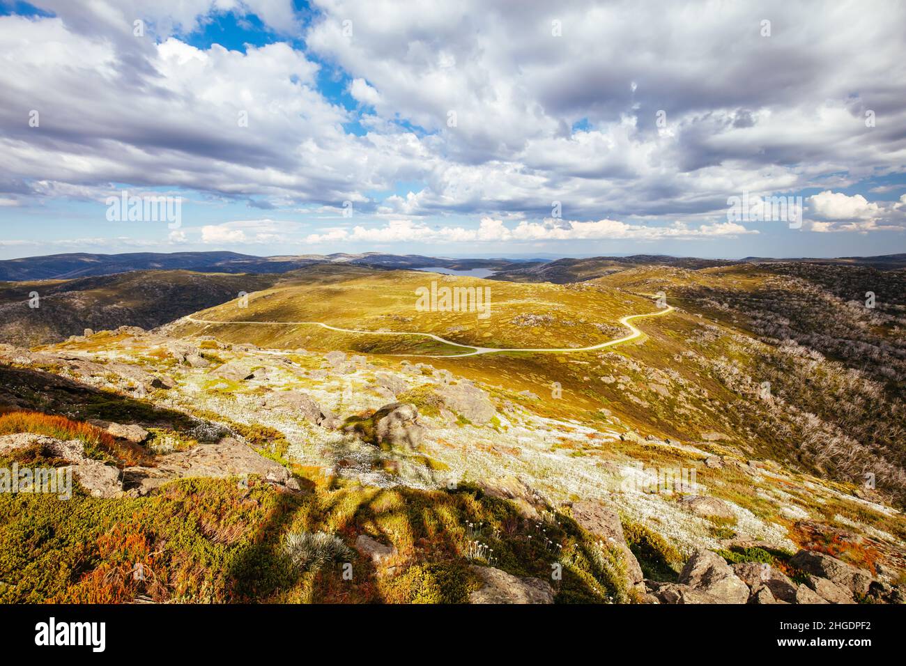 Summer Landscape at Mt Mckay Australia Stock Photo - Alamy