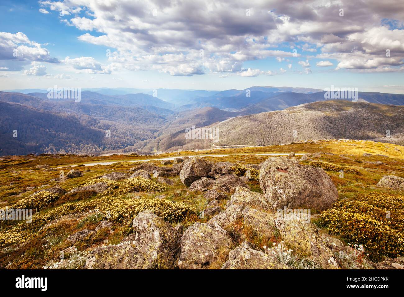 Summer Landscape at Mt Mckay Australia Stock Photo - Alamy