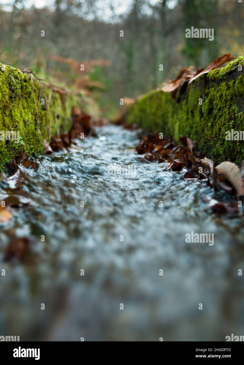 Mountain water channel in autumn at ground level with walls full of ...