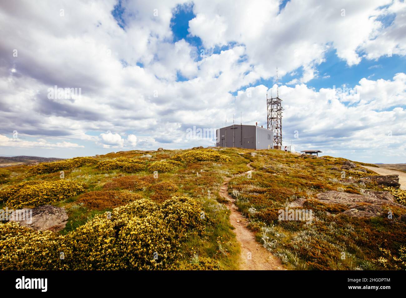 Summer Landscape at Mt Mckay Australia Stock Photo - Alamy