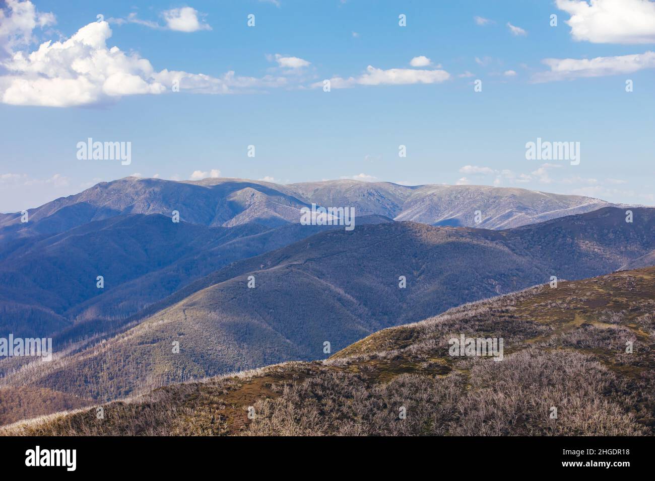 Summer Landscape at Mt Mckay Australia Stock Photo - Alamy