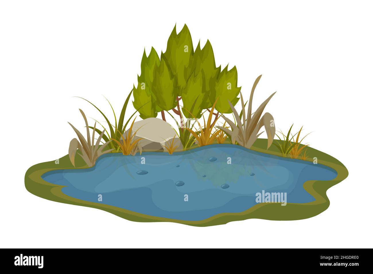 Swamp lily Cut Out Stock Images & Pictures - Alamy