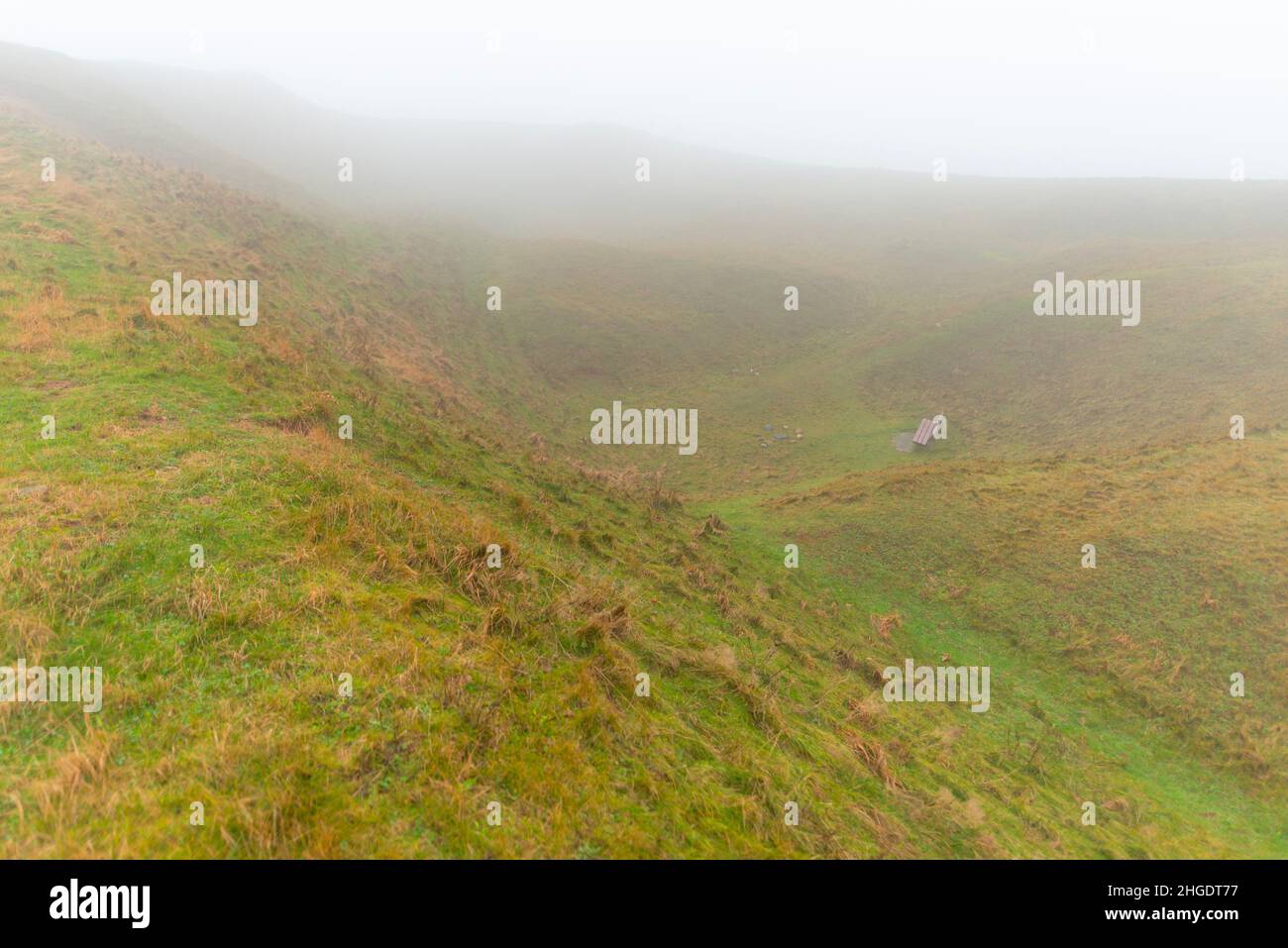 Dense landscape hi-res stock photography and images - Alamy