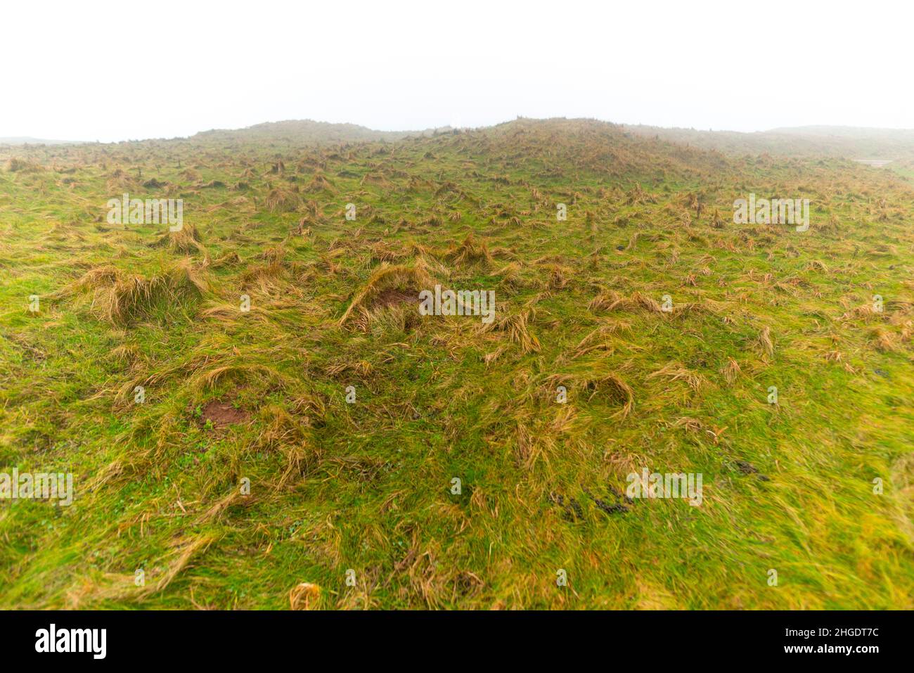 Dense landscape hi-res stock photography and images - Alamy