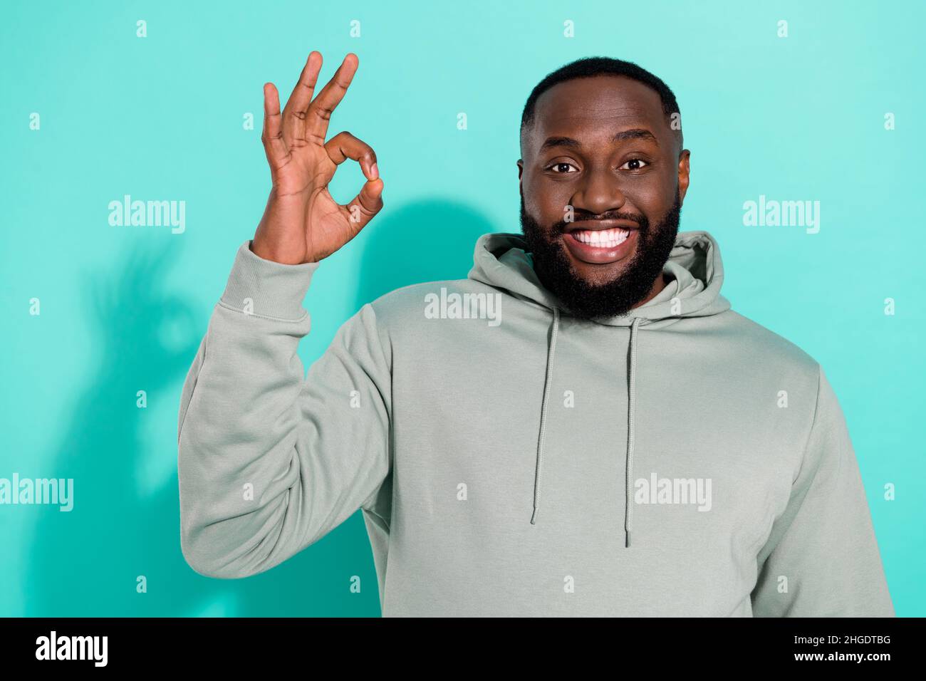 Portrait of attractive content cheerful guy showing ok-sign ad agree ...