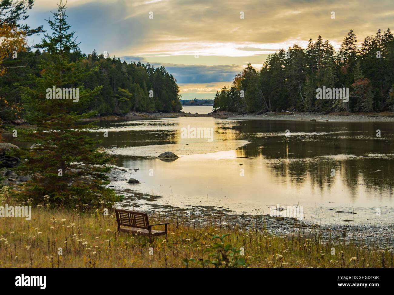a bench to enjoy a beautiful evening at Pretty Marsh on Mount Desert ...