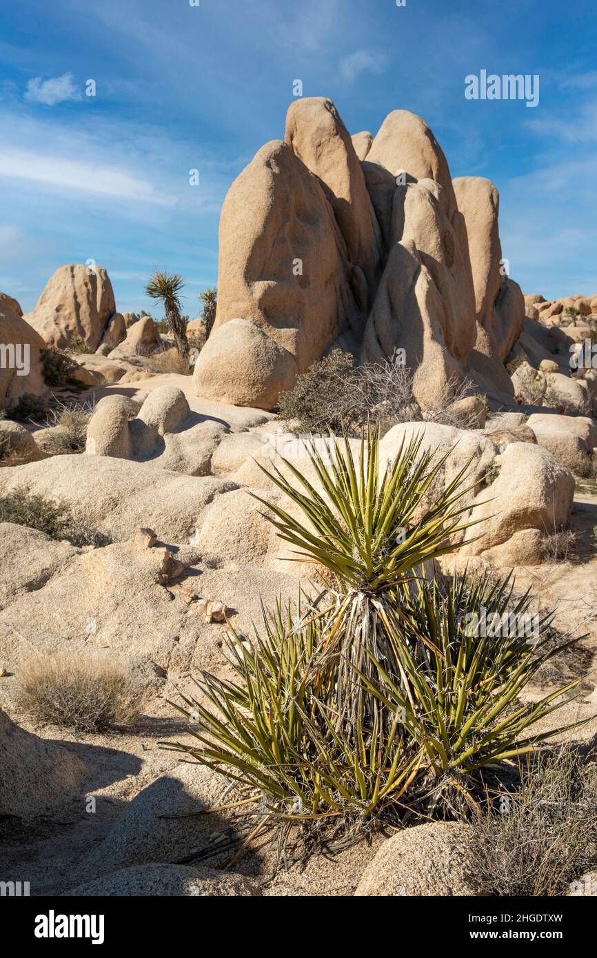 The rock formations around White Tank in Joshua Tree National Park ...
