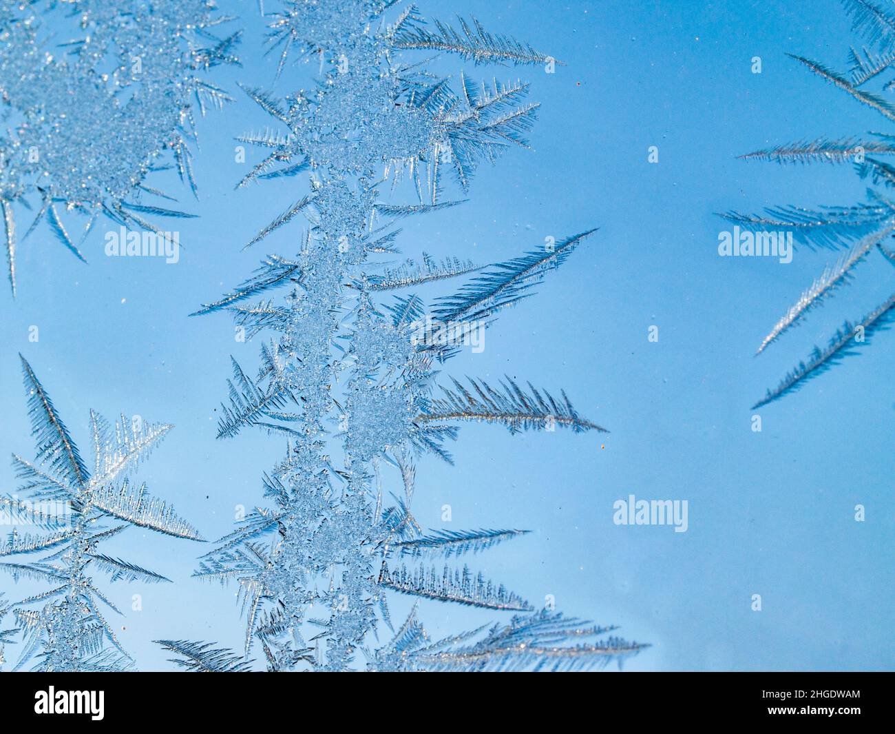 Frost crystal patterns on window pane Stock Photo - Alamy