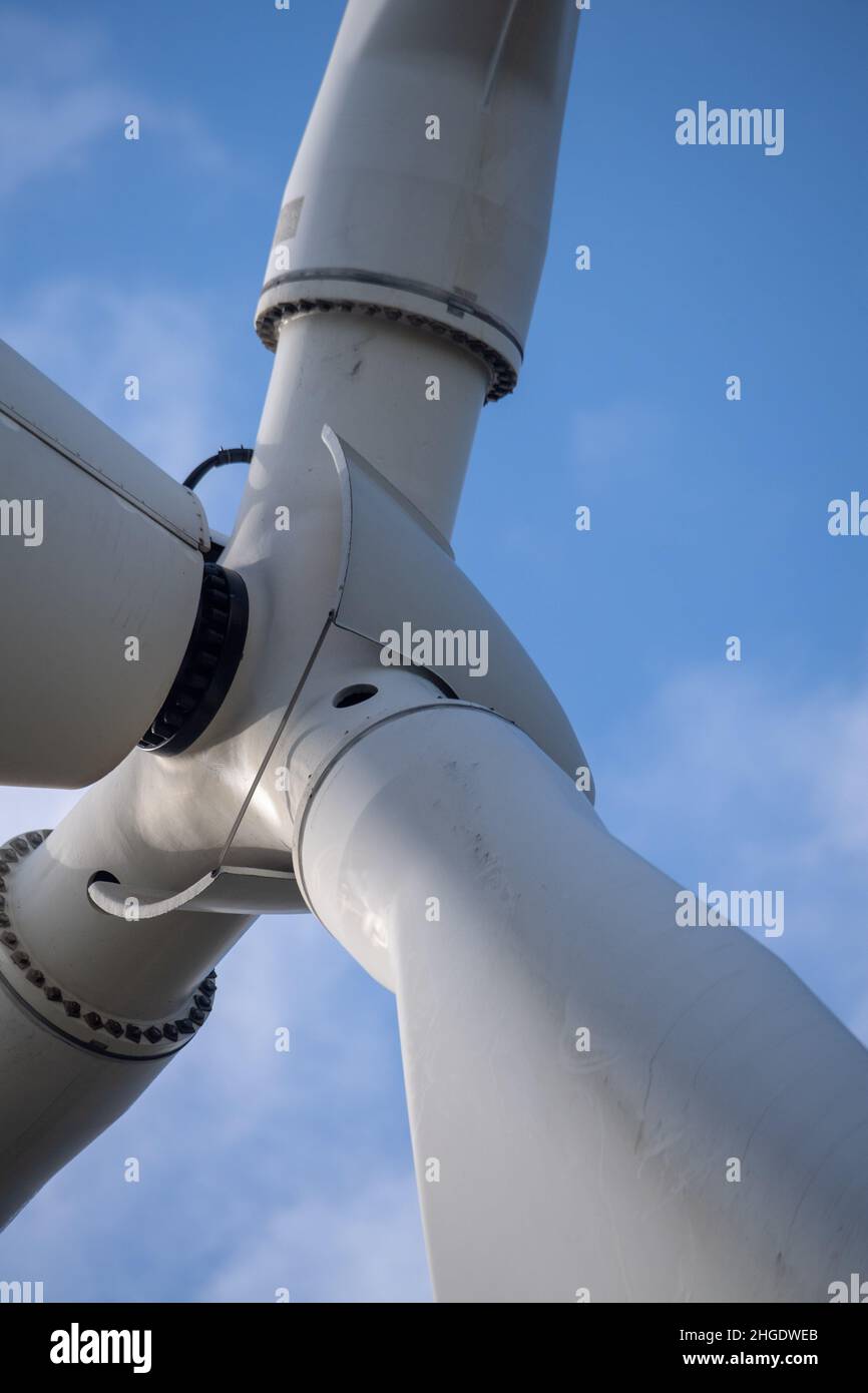 20 January 2022, Mecklenburg-Western Pomerania, Altefähr: The Altefähr ...