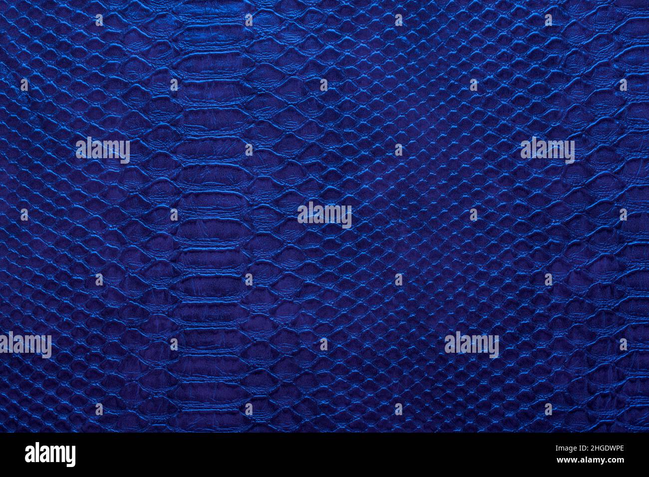 blue skin leather texture for background Stock Photo - Alamy