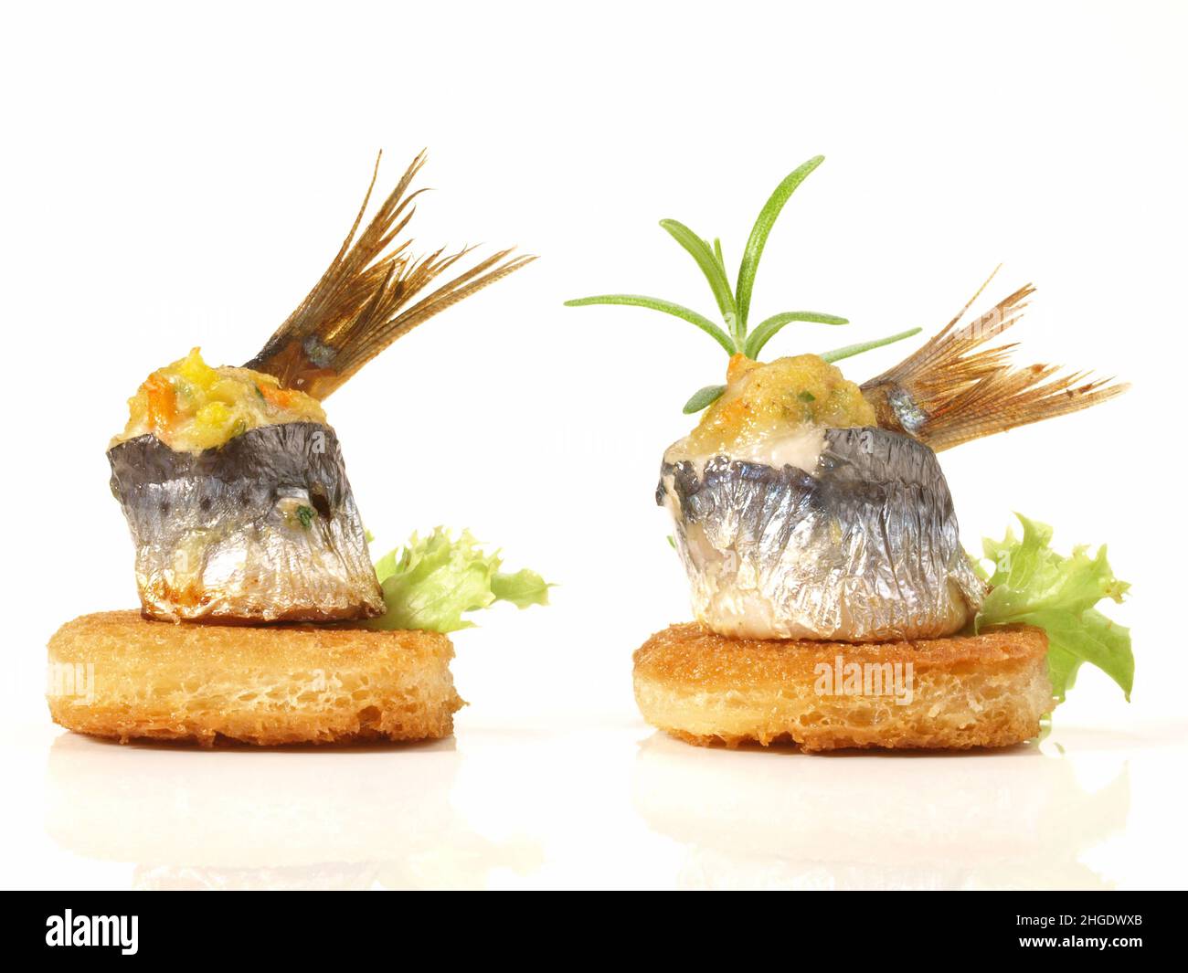 Pilchard Snack - Fish on Toast on white Background Stock Photo - Alamy