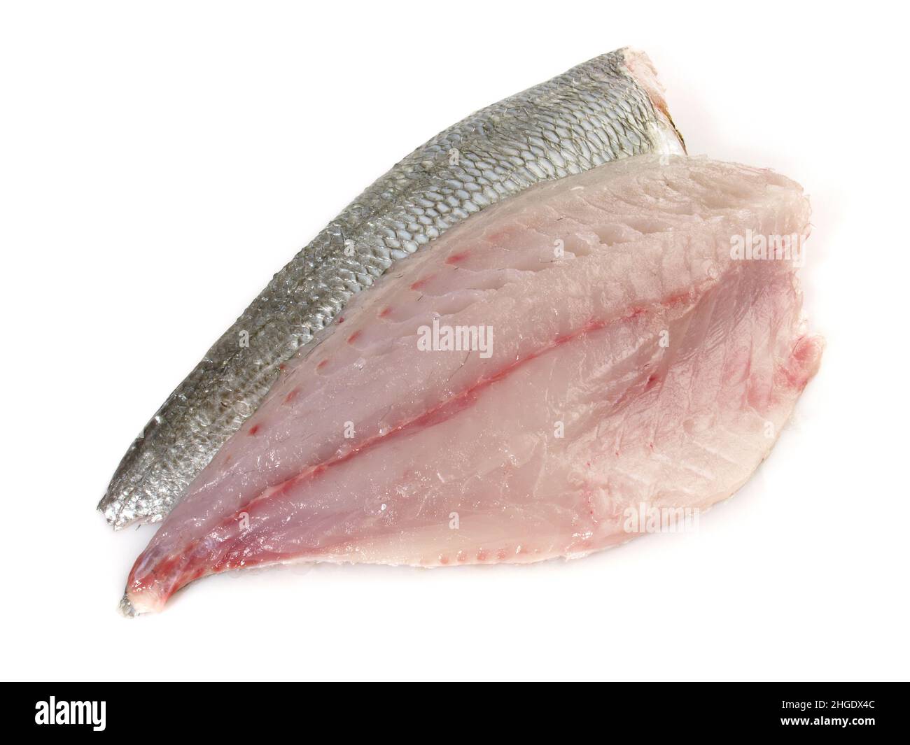 Grey Gilthead Seabream Fillet isolated on white Background Stock Photo ...