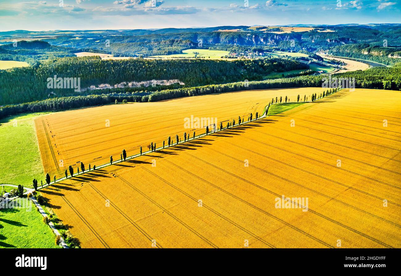 Wheat fields in Germany, aerial photography with mountains in the ...