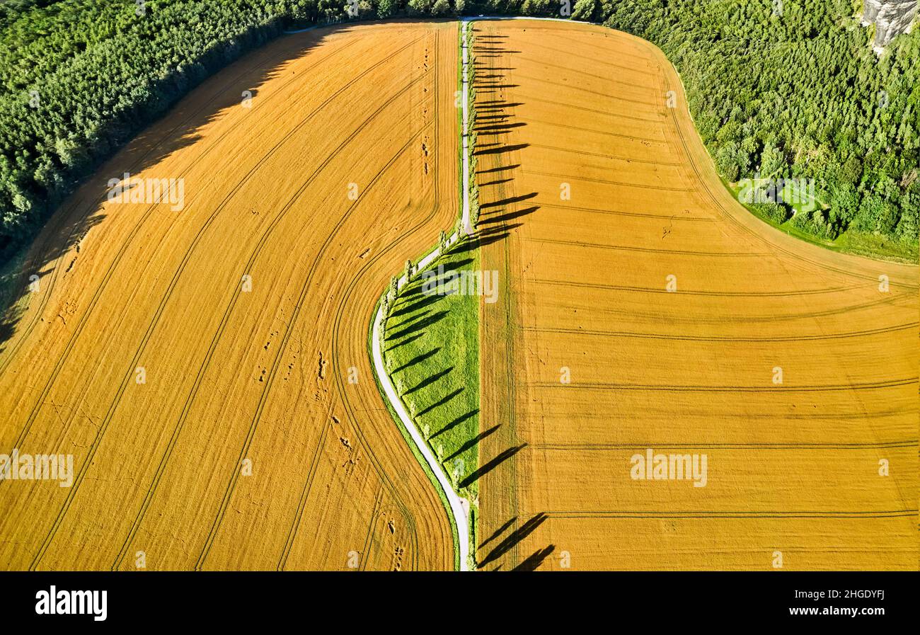 Wheat fields in Germany, aerial photography with mountains in the ...