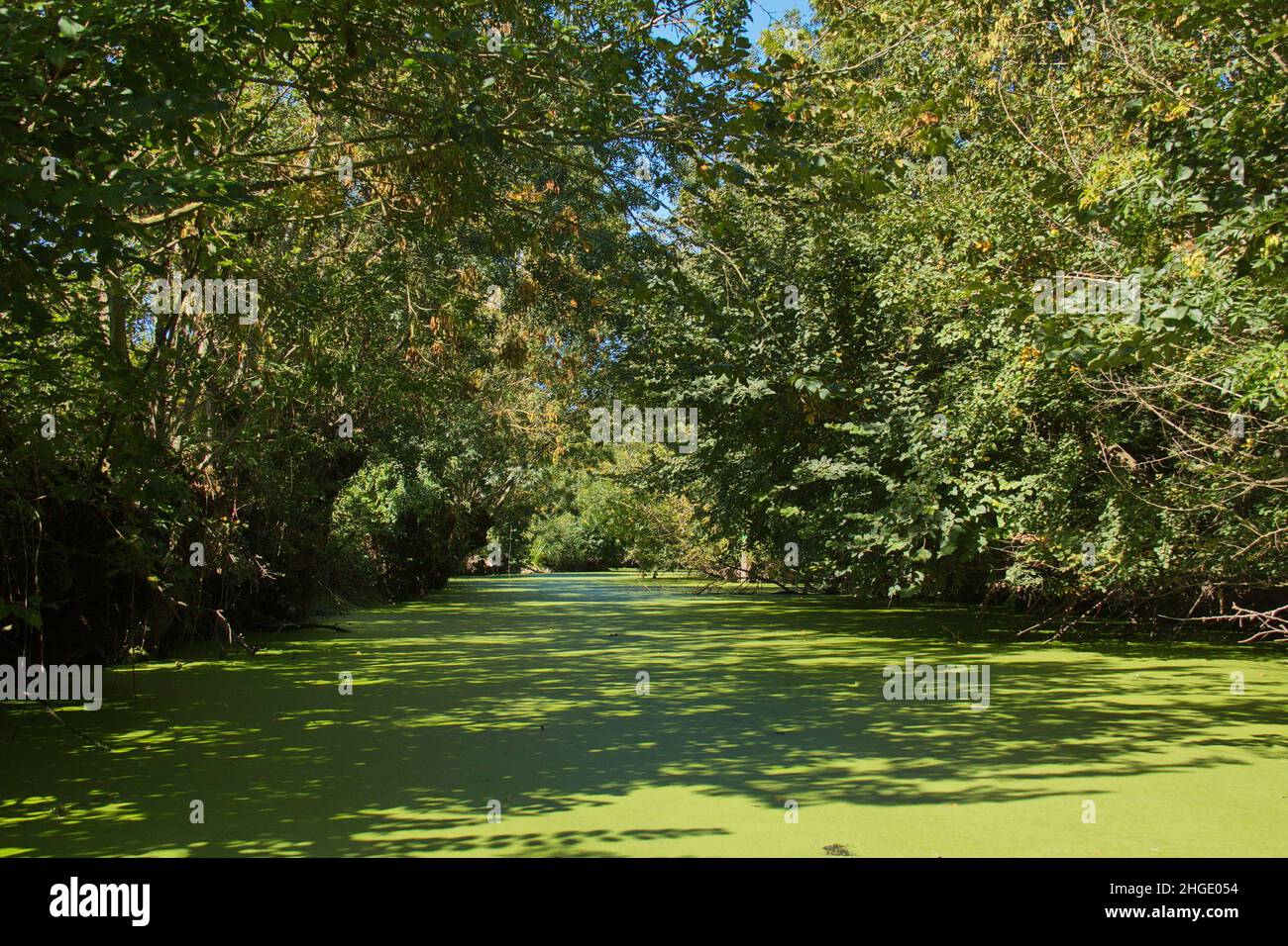 Park Marais Poitevin High Resolution Stock Photography and Images - Alamy