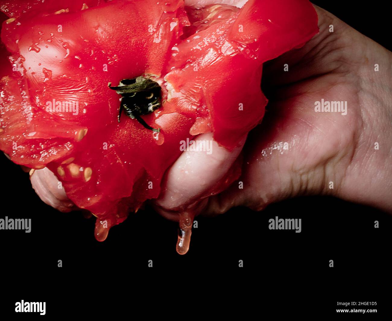 Hand squishing a tomato Stock Photo - Alamy