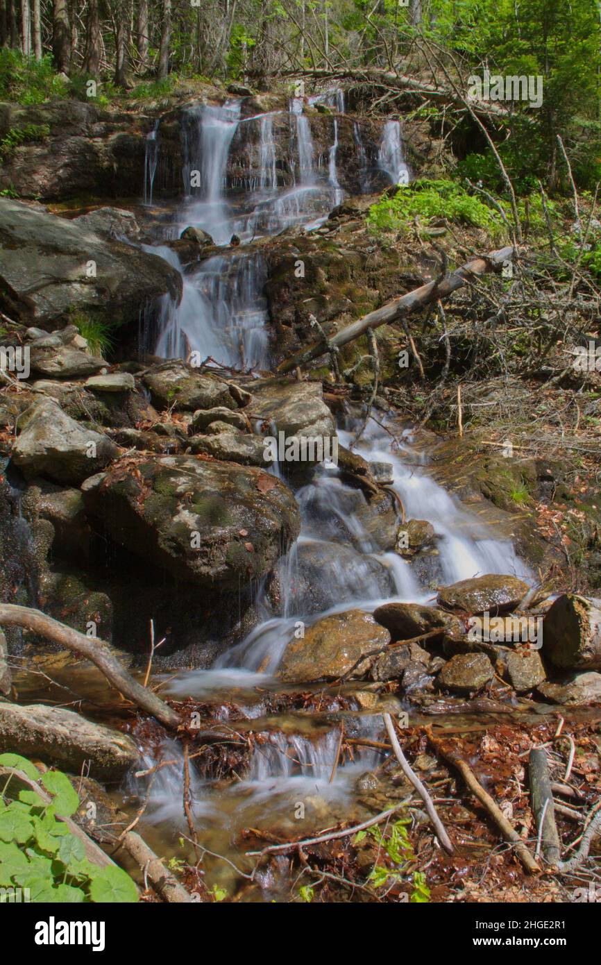 Grosser falkenstein hi-res stock photography and images - Alamy