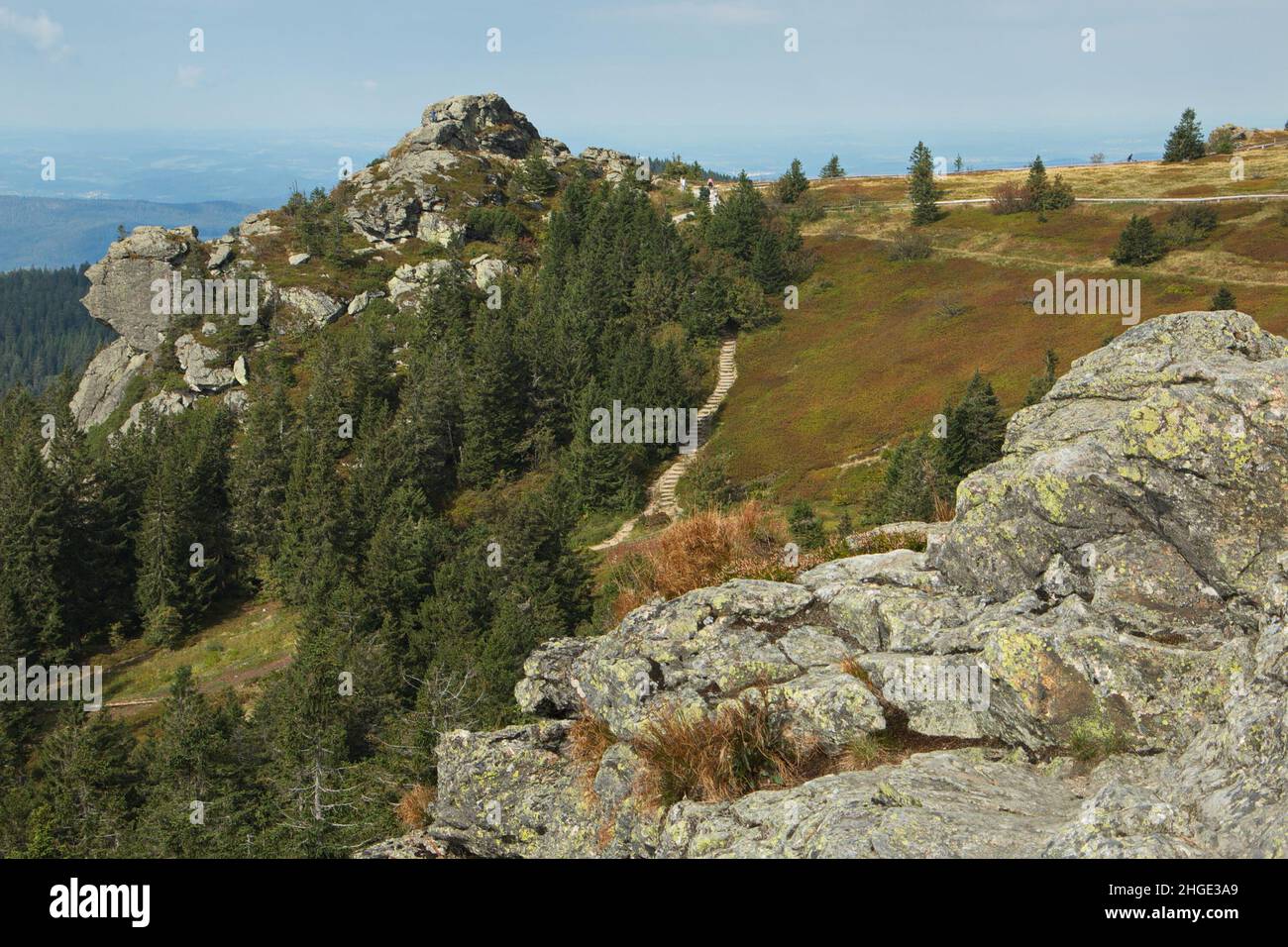 Landscape on Großer Arber in Bavaria,Germany,Europe Stock Photo - Alamy