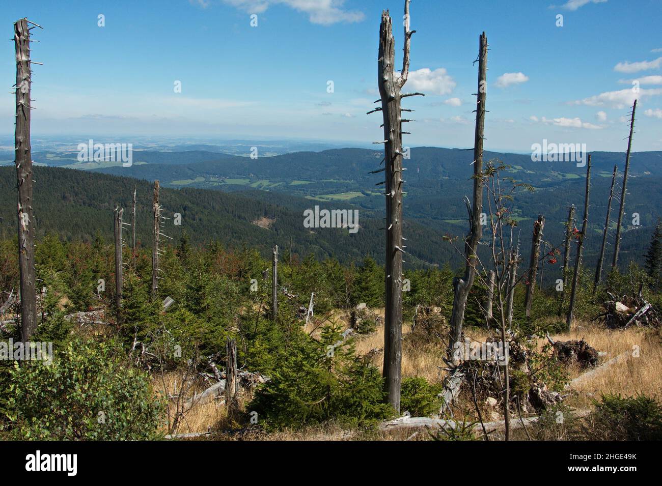 Panoramic view from Großer Osser in Bavaria,Germany,Europe Stock Photo ...