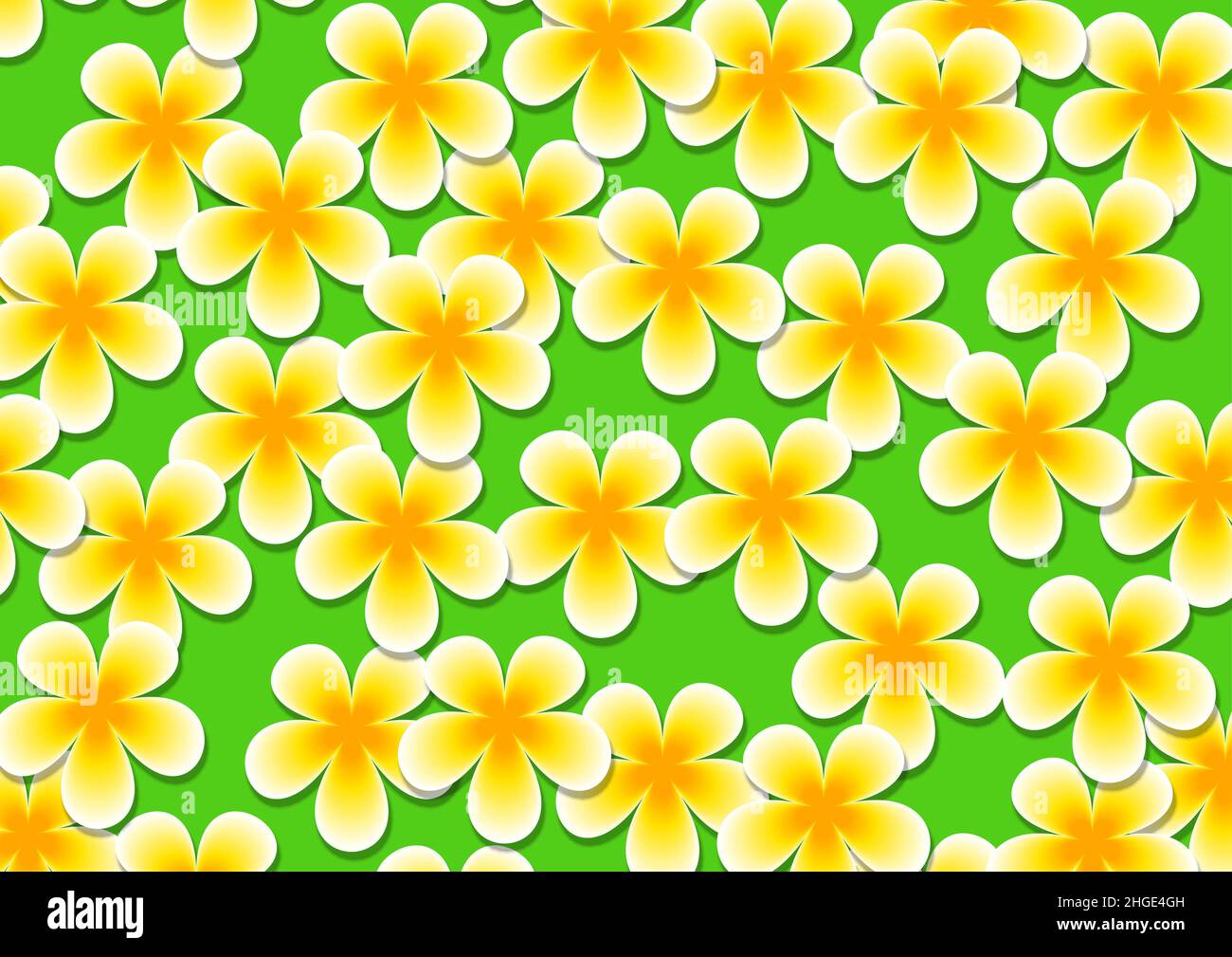 Araliya flower Stock Vector Images - Alamy