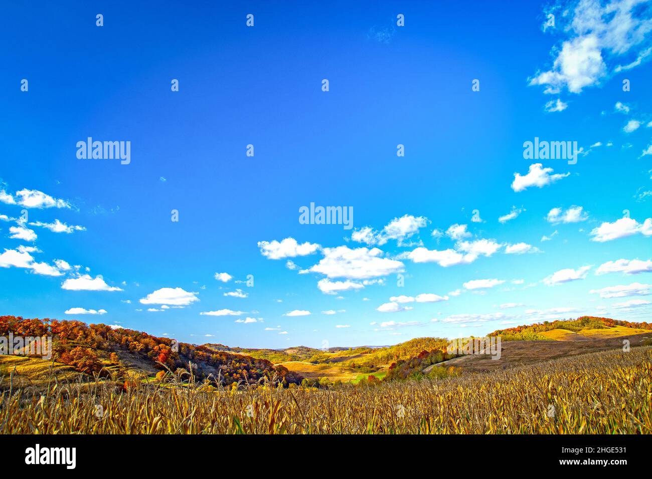 Autumn landscape with corn field and hill and pasture in background, in ...