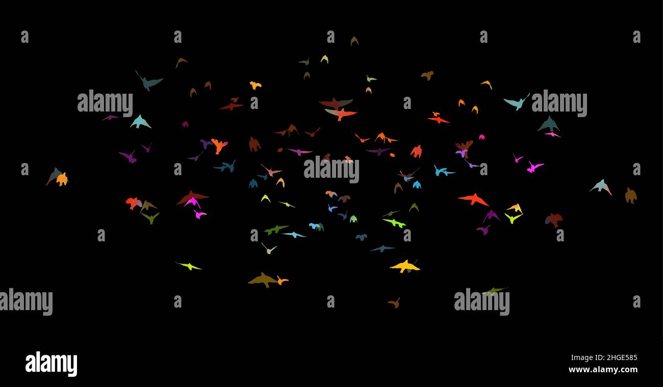 Multi-colored birds on a black background . A flock of flying rainbow ...