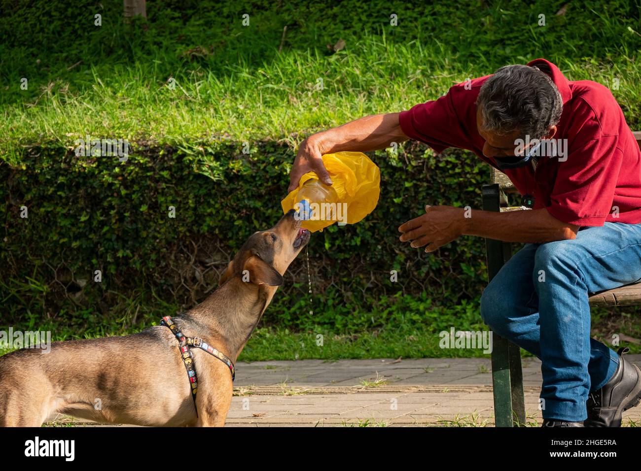 Medellin, Antioquia, Colombia - January 13 2022: Brown Man Gives Water ...